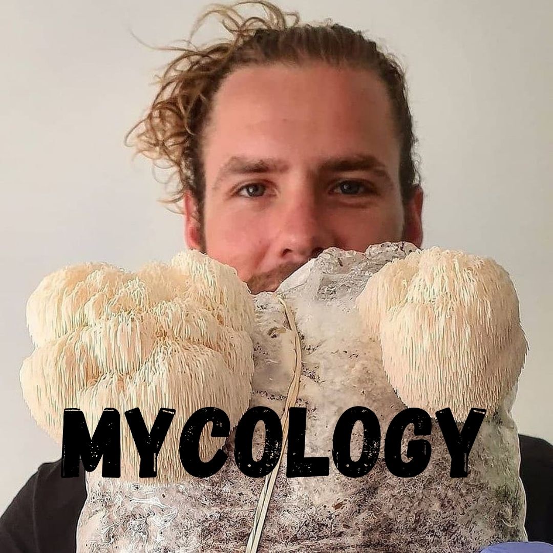 Harmonic Mycology - With Peter Herrman – LifeXpanded